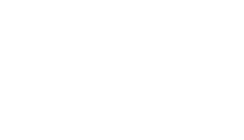 Foam Bricks | Cold Chain Technologies