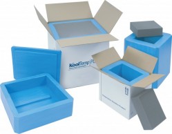 Koolit & KoolTemp Disposal Instructions | Cold Chain Technologies